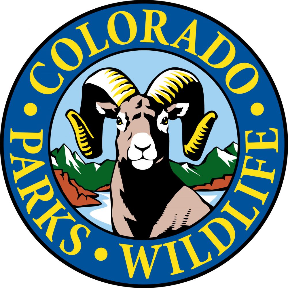 Jeanette Lara: Terry Wickstrom Outdoors 12/1/18 – Denver Sports